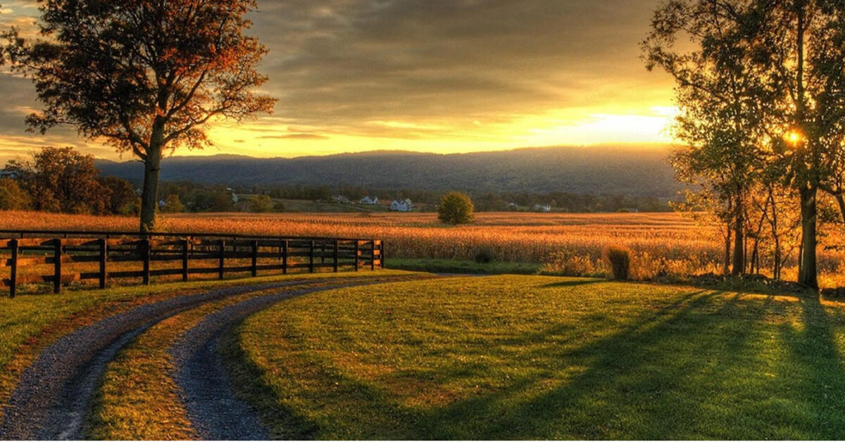 Virginia – MedGuard Alert, Inc.